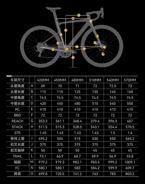 XDS AD300 油壓碟刹內走線20速公路車 / XDS AD300 20 SPEED ROAD BIKE – BikeCity ...
