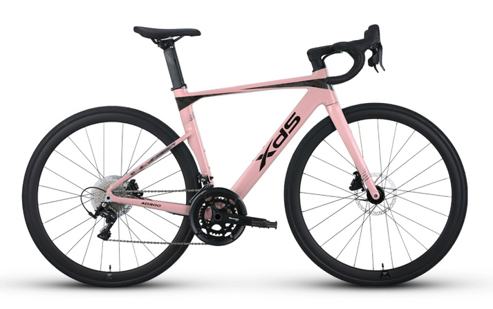 XDS AD300 油壓碟刹內走線20速公路車 / XDS AD300 20 SPEED ROAD BIKE – BikeCity ...