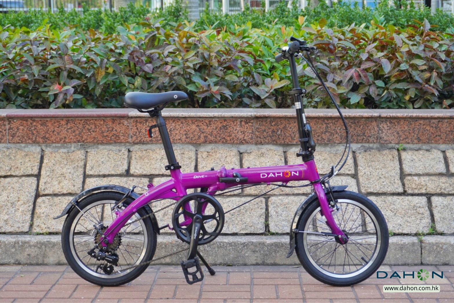 DAHON DOVE D6 鋁合金折疊車-BYA661-16" / DAHON DOVE D6 ALUMINUM FOLDING BIKE ...